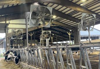 Management is Key to Successful Overstocking | Dairy Herd